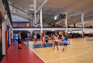 Home - Danvers Indoor Sports